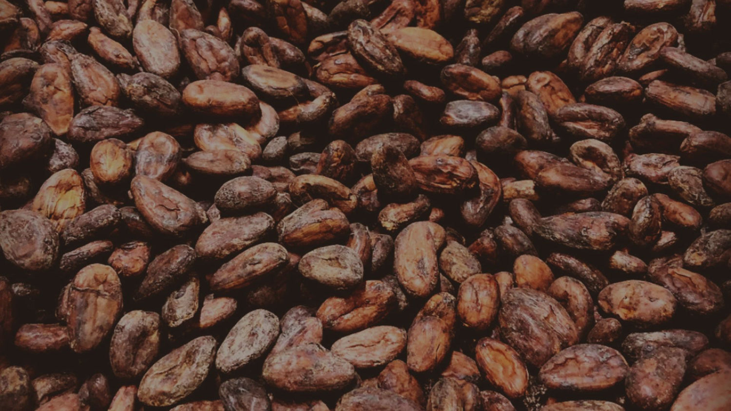 Ao Cacao - Artisanal Bean to bar Chocolate - Aotearoa, New Zealand